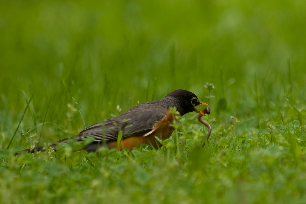 New Page 1 [kellyphotography.net]