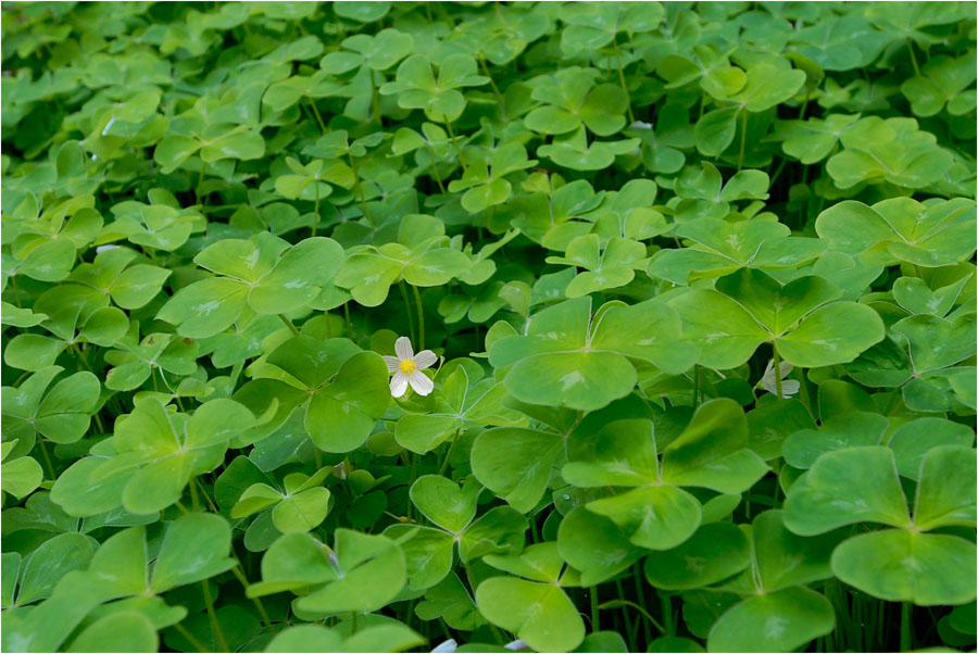 New Page 1 [kellyphotography.net]