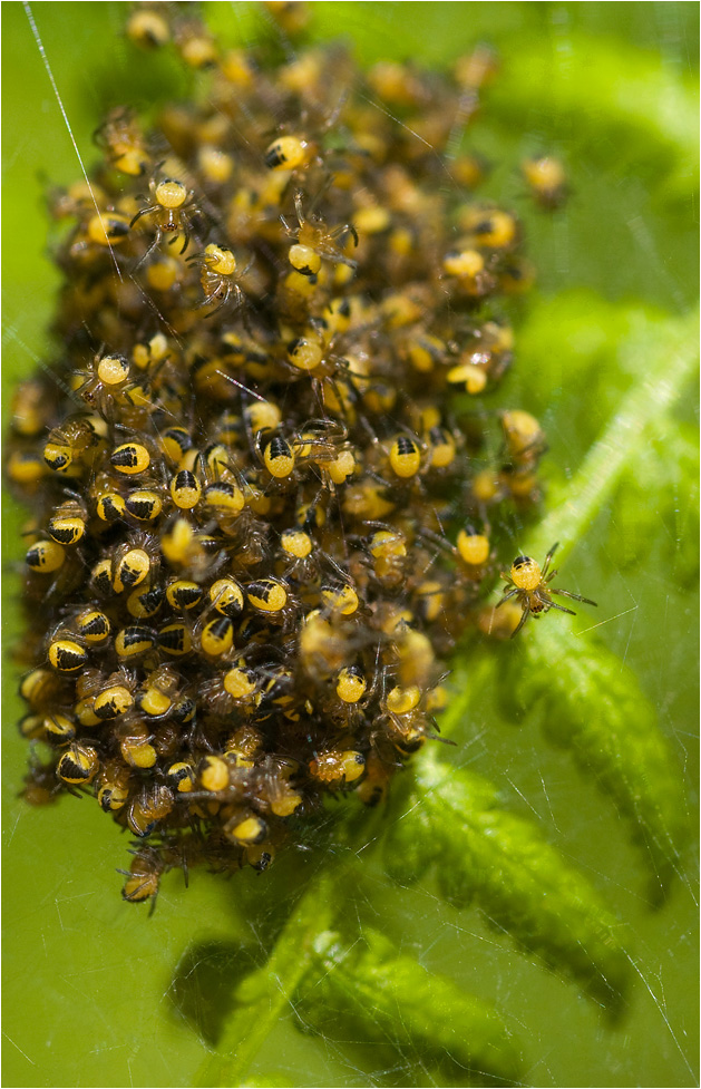 New Page 1 [kellyphotography.net]