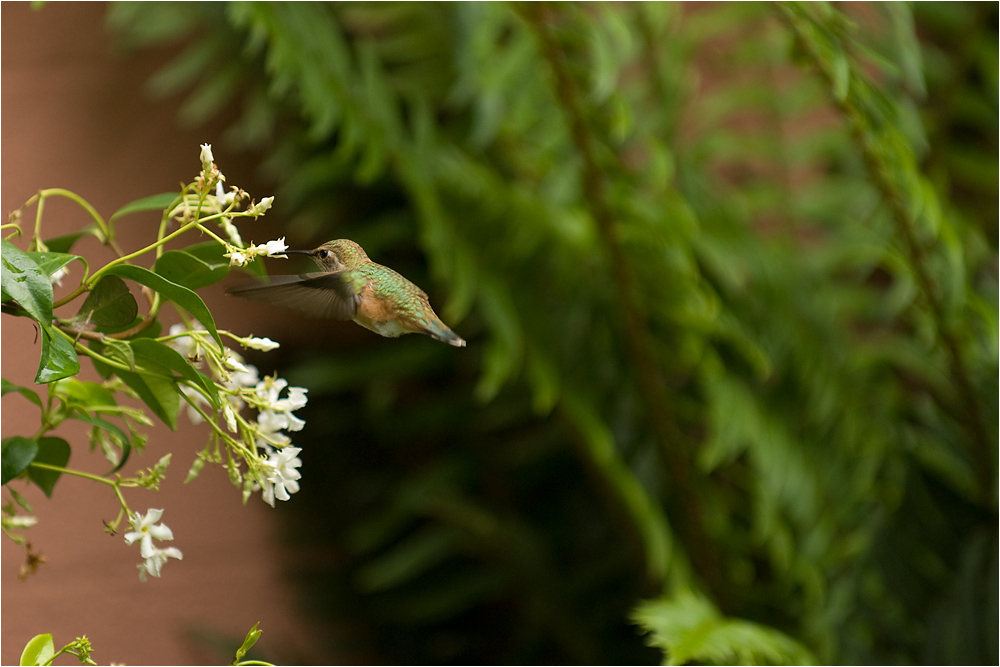 New Page 1 [kellyphotography.net]